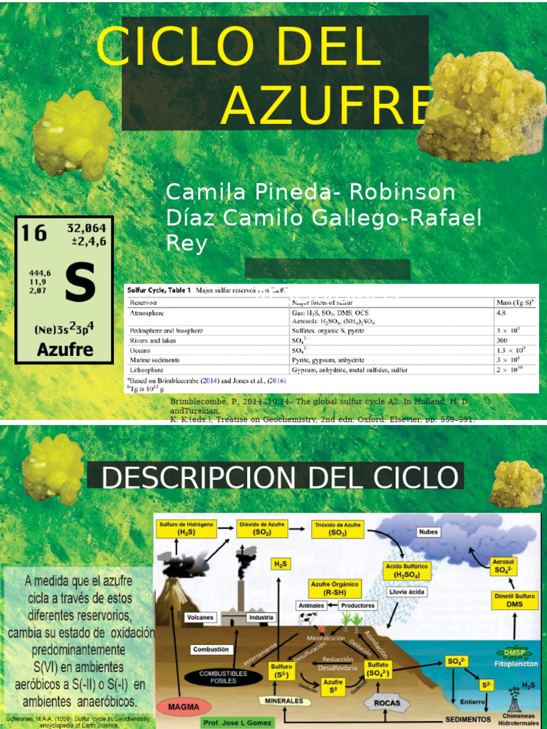 Expo Ciclo Del Azufre | PDF