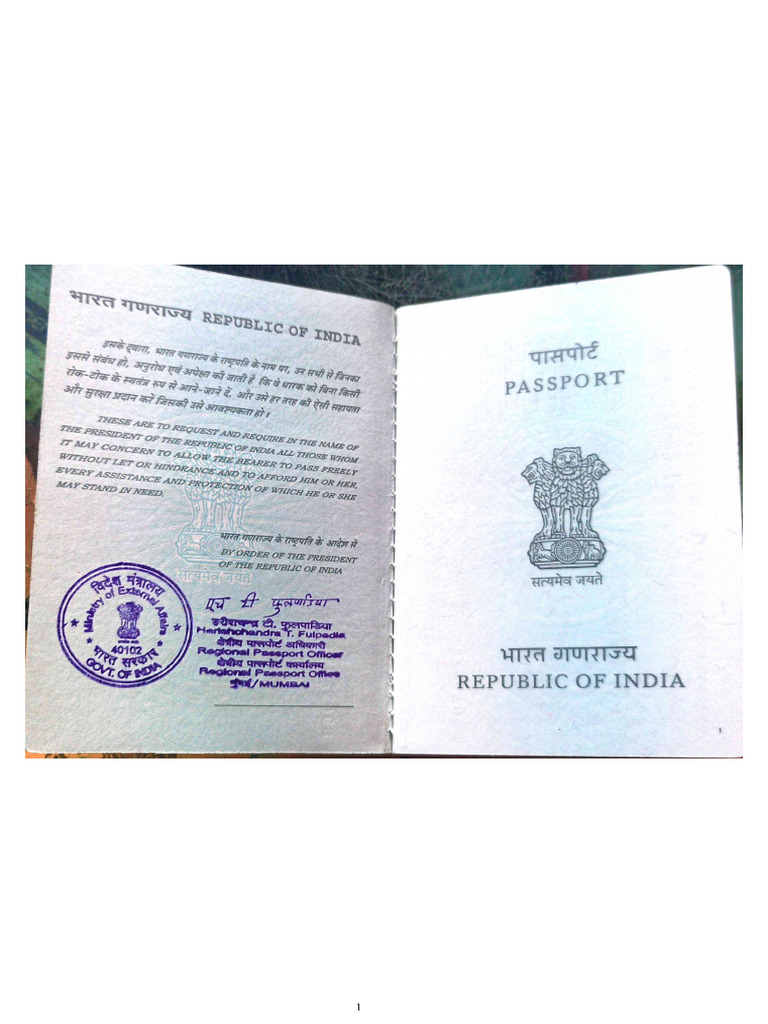 Passport | PDF
