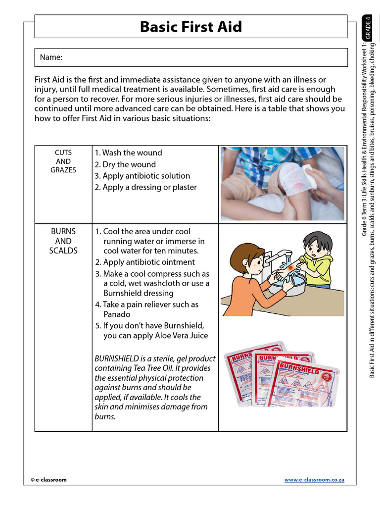 Grade 6 Basic First Aid Worksheet 1 | PDF | First Aid | Medical Emergencies