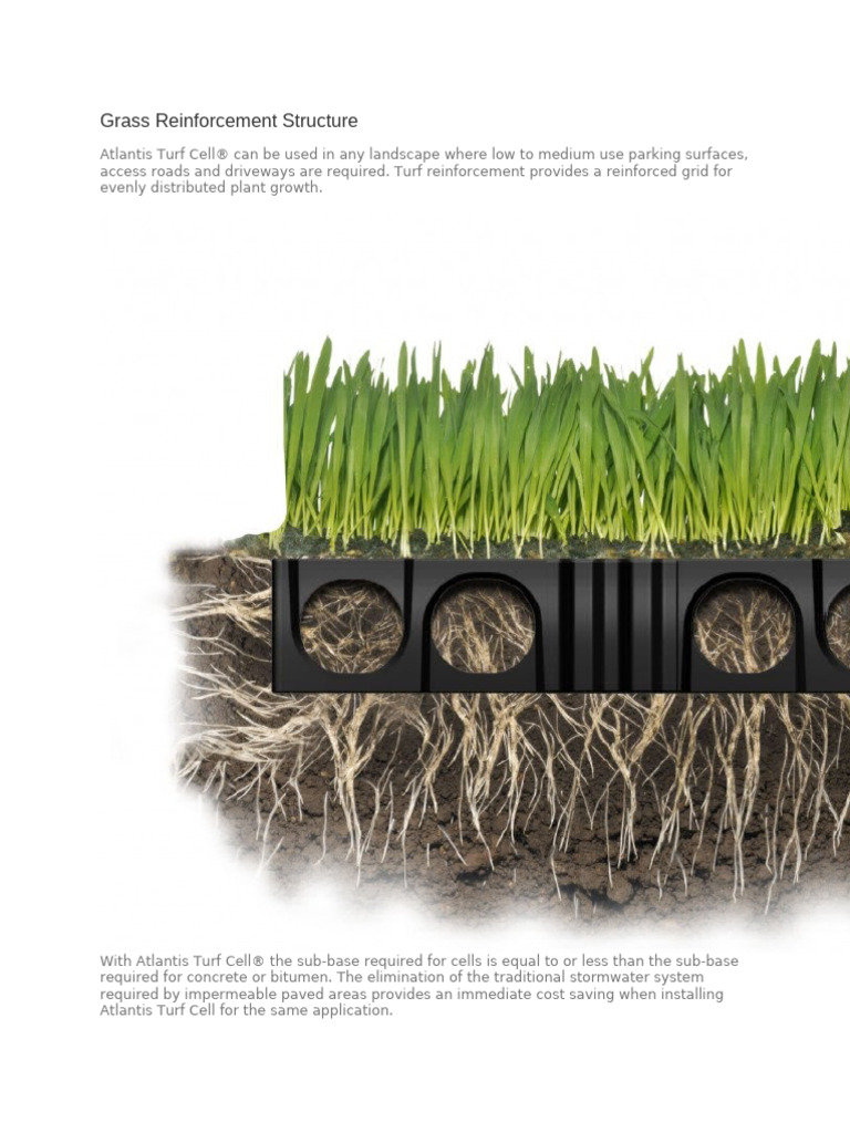 Grass Reinforcement Structure | PDF | Computers | Technology & Engineering