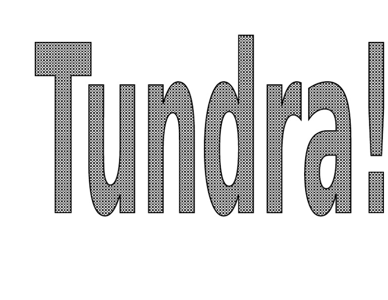 Tundra | PDF