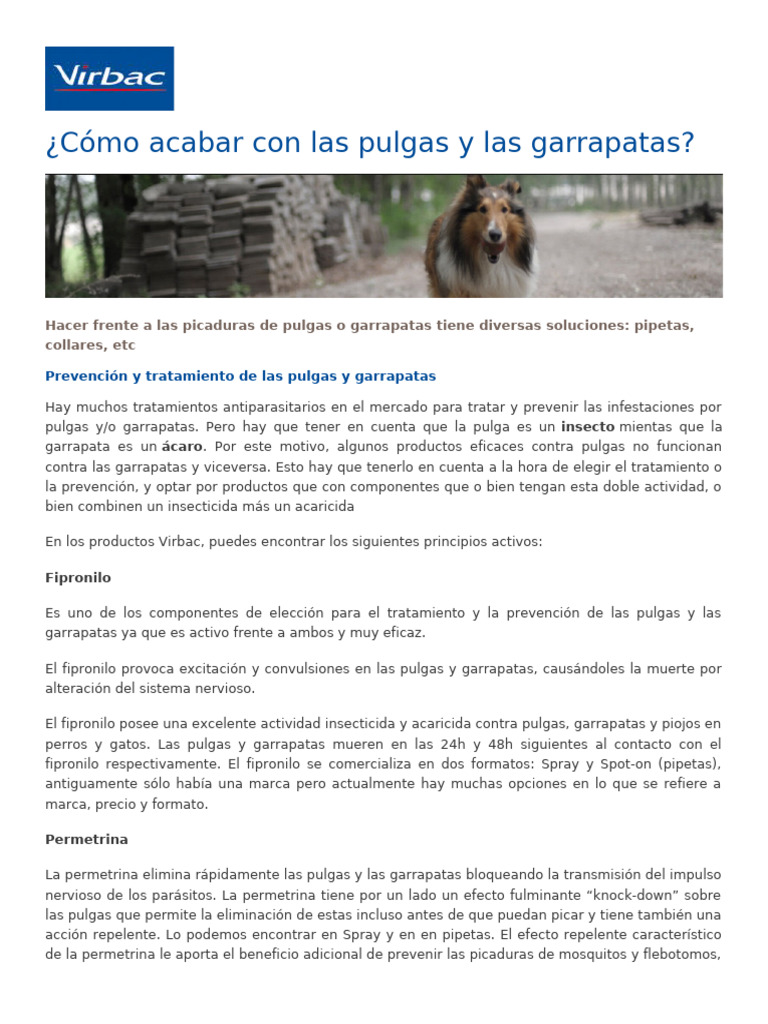 Cómo Eliminar Pulgas en Casa | PDF
