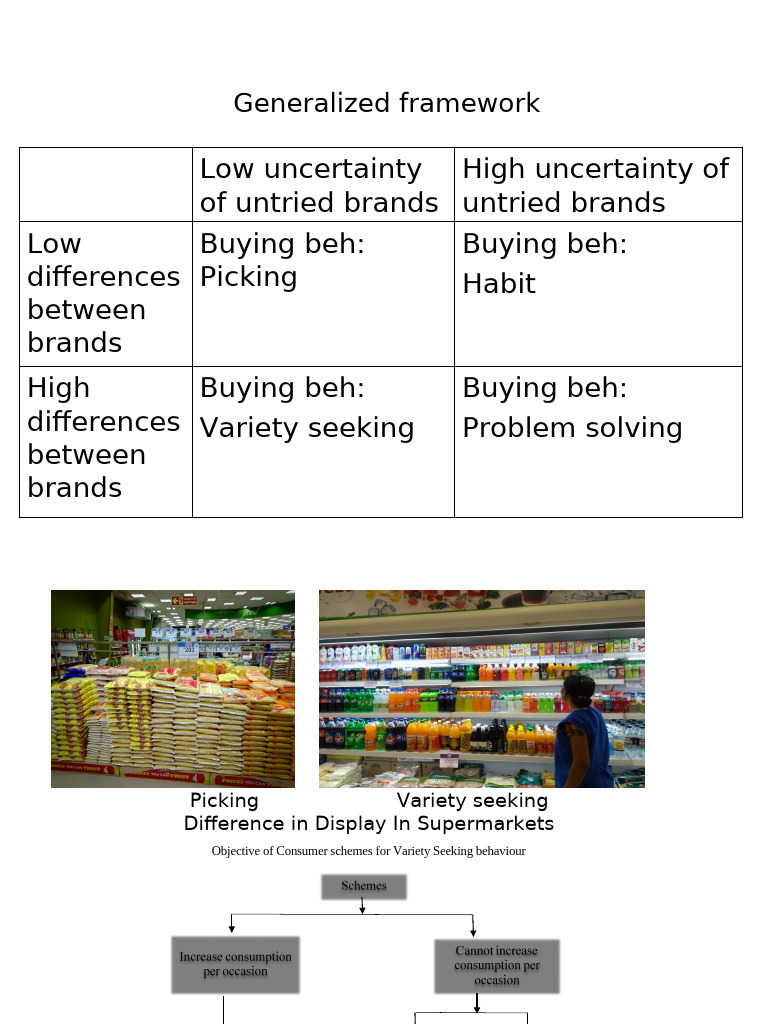 Consumer Buying Behavior Framework | PDF | Business | Social Science