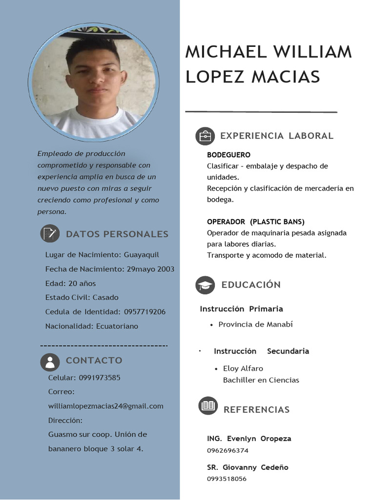 Curriculum Michael Lopez.. | PDF