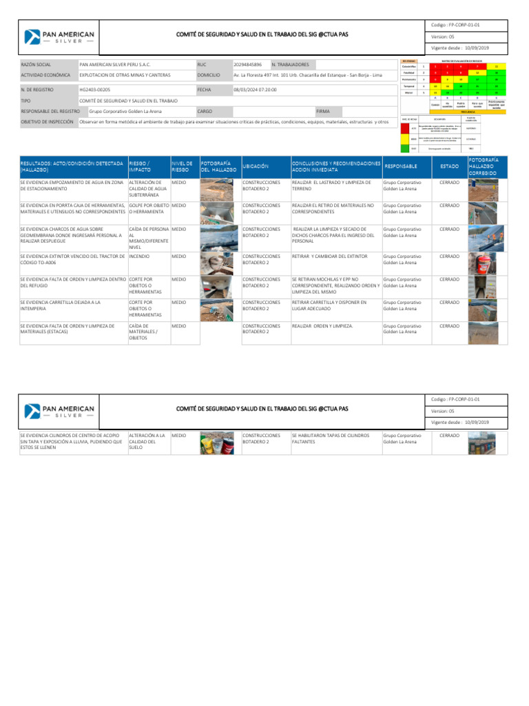 HG2403-00205 - Inspeccion de Comite - Jacqueline Rivas | PDF