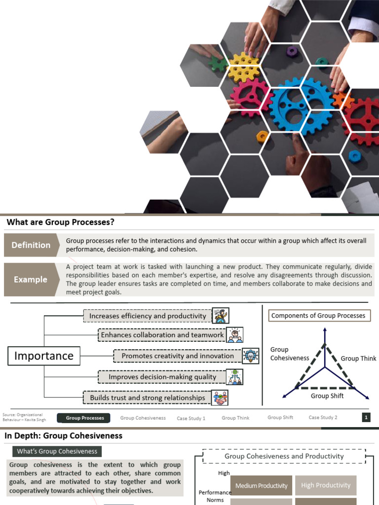 Ob Group Process | PDF | Group Cohesiveness | Group Processes