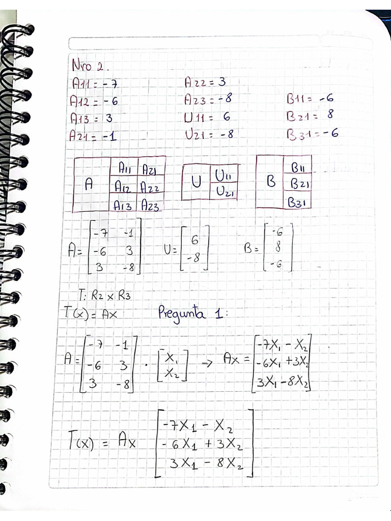Transformaciones Lineales de Domenica Bustos | PDF