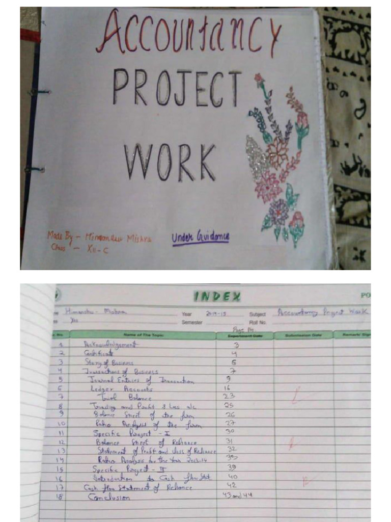 Accountancy 12th Class Project Work Both Comprehensive and Specific 1 ...
