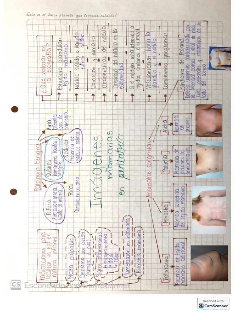 Deber 4 - Jiménez Evelyn - M5-006 | PDF