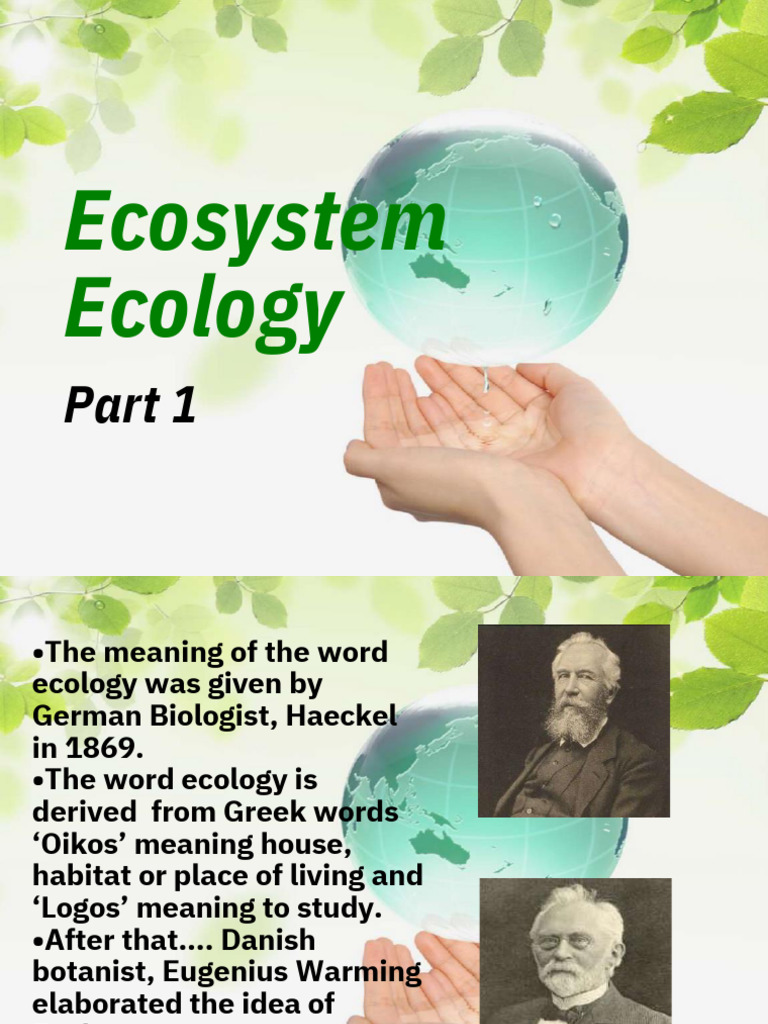 Ecosystem Ecology Part 1 | PDF | Food Web | Ecosystem