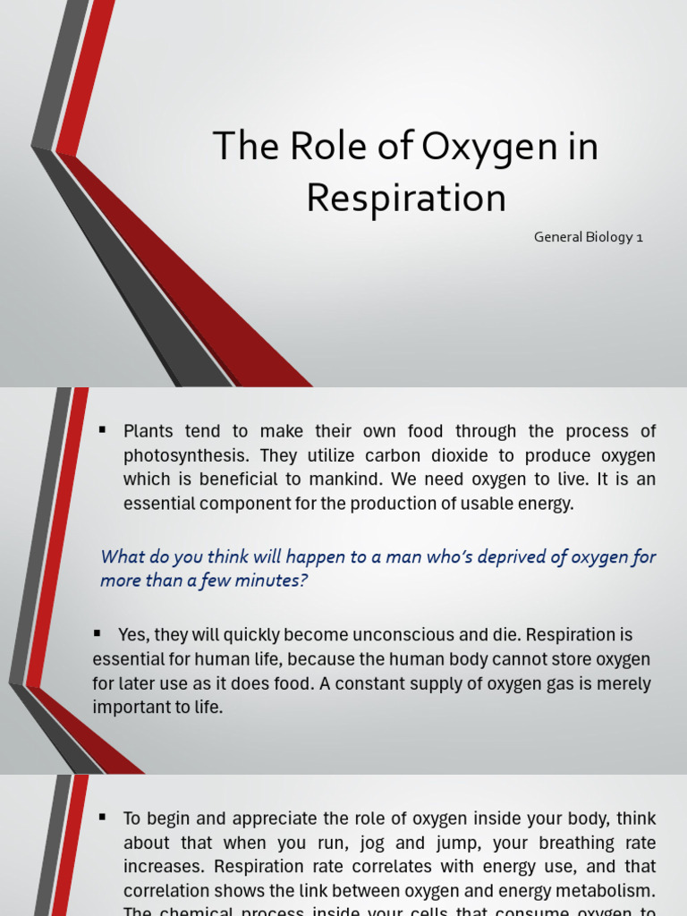 The Role of Oxygen in Respiration | PDF | Cellular Respiration ...