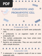 Prokaryotic Cells Revision Notes - A-Level Biology CIE - Cognito | PDF