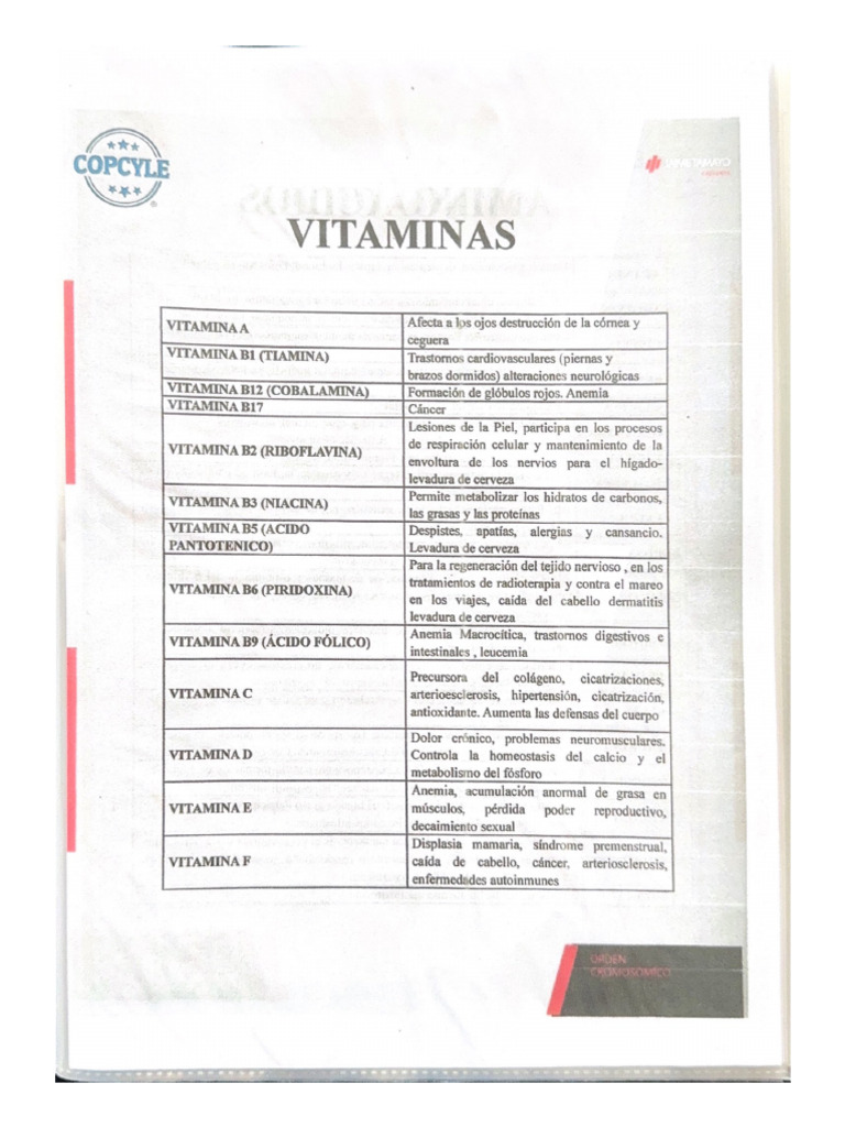 VITAMINAS | PDF