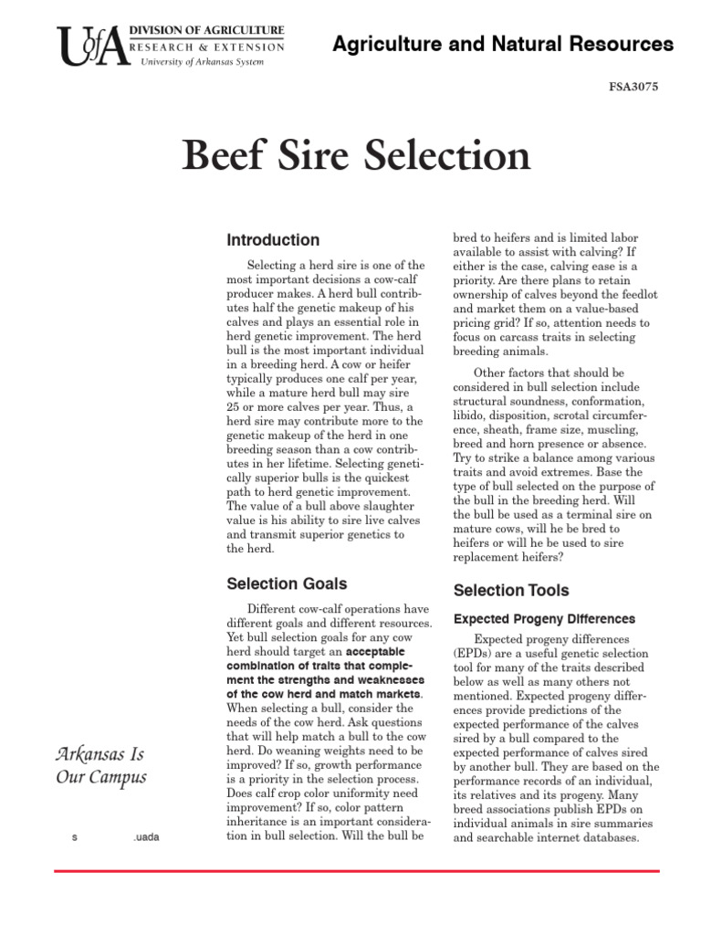 Beef Sire Selection | PDF | Cattle | Zygosity
