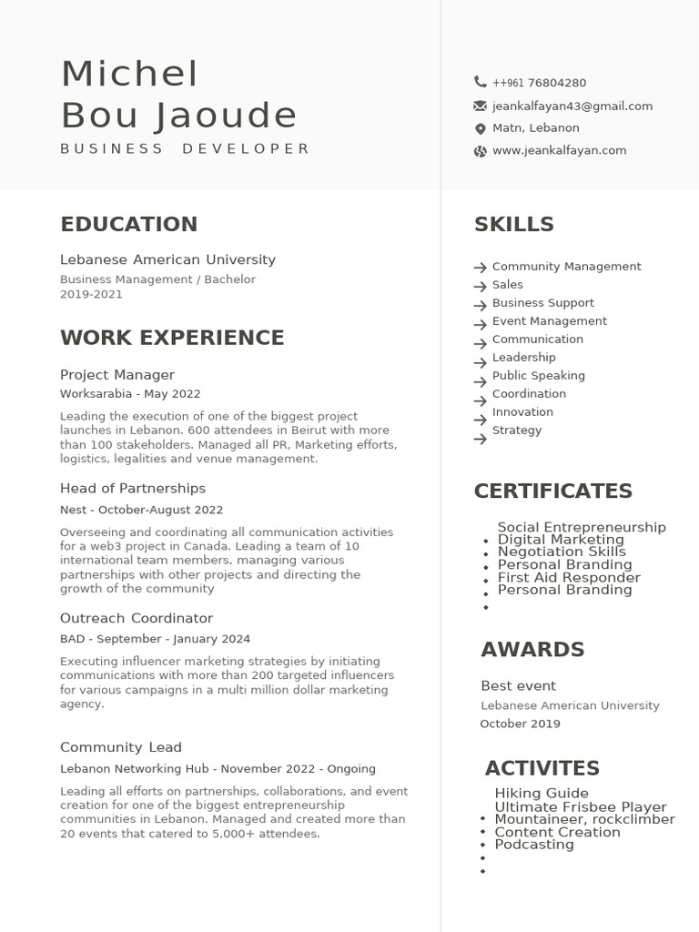 CV | PDF | Lebanon | Business