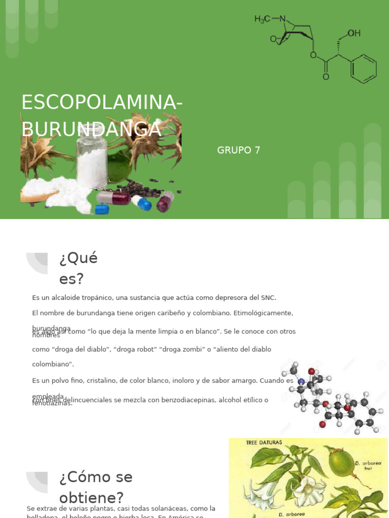 Escopolamina 2 | PDF