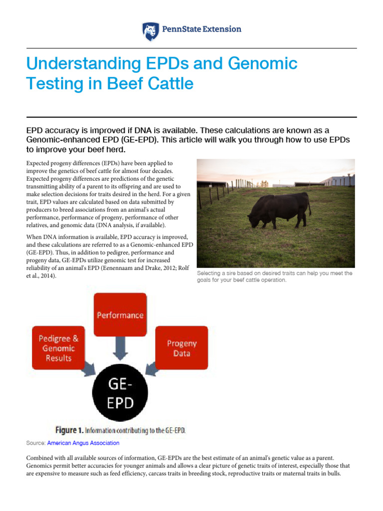 Beef Cattle Epds And Genomic Testing Guide Pdf Cattle Livestock