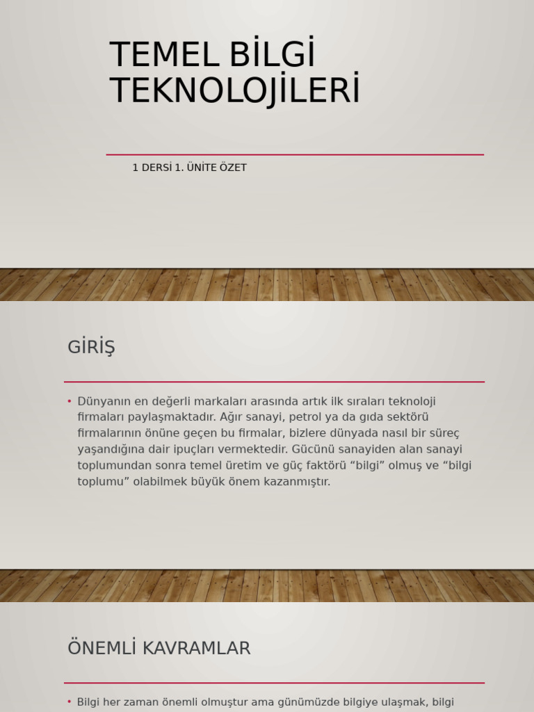 Temel Bilgi Teknolojileri ÖZET 1 | PDF