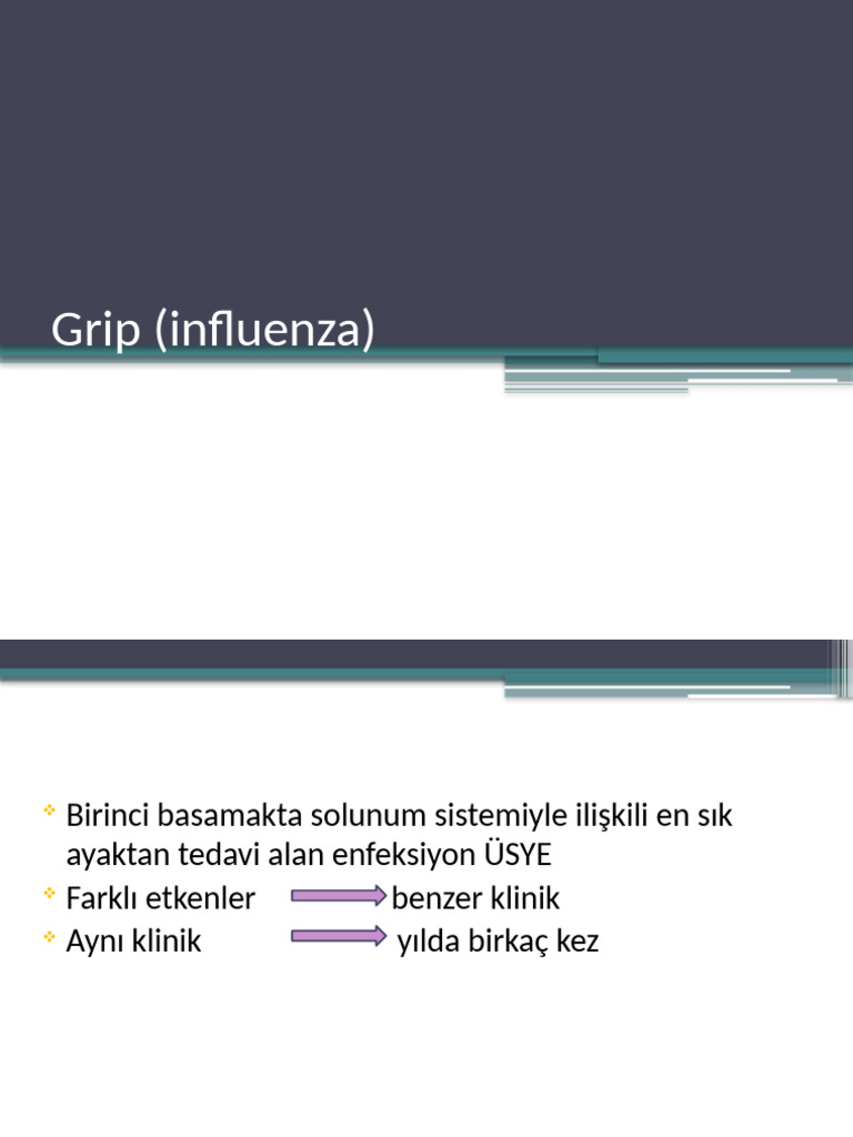 12 Influenza | PDF
