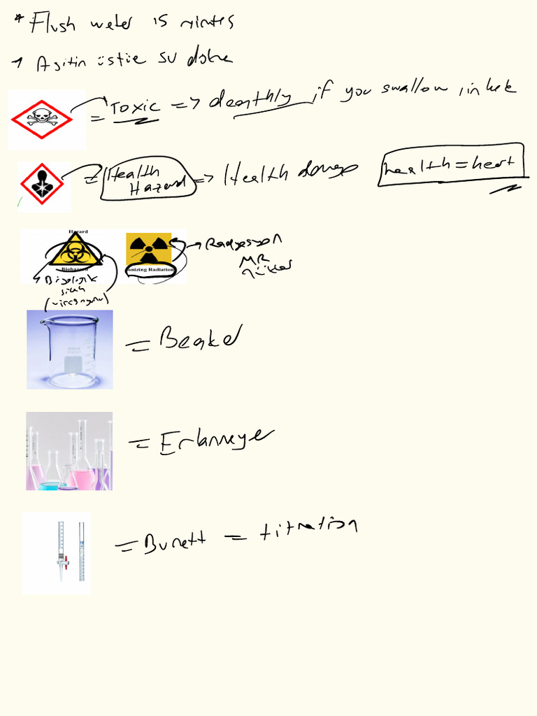 Labsafety Ozet | PDF