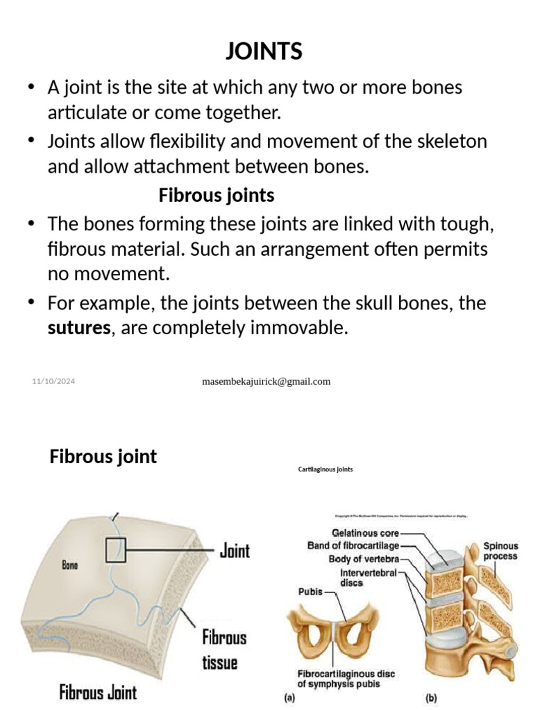 Skeletal System 4 | PDF | Anatomical Terms Of Motion | Knee