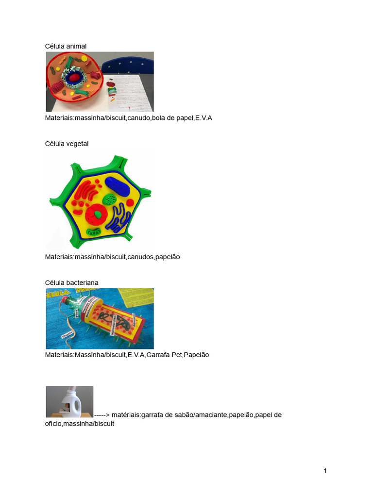 Pesquisa Maquete-Tipos de Células | PDF | Bem-estar