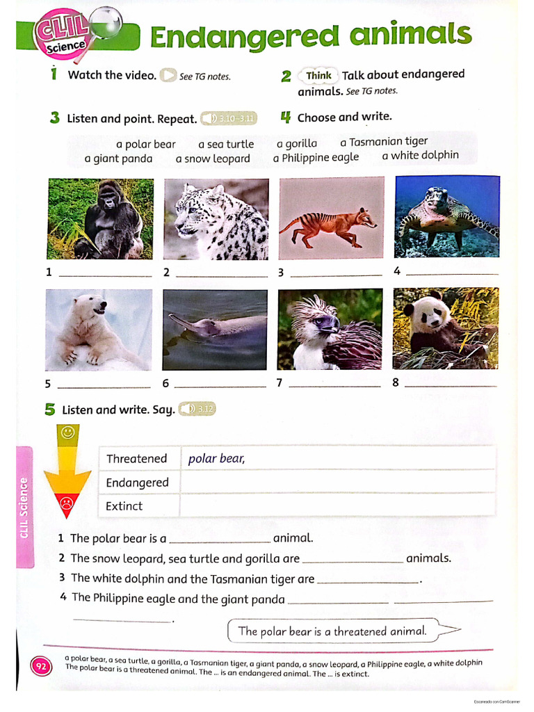 Endangered Animals | PDF