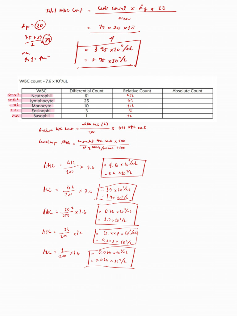Notes_231213_112024 | PDF