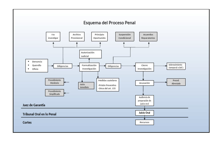 Esquema Del Proceso Penal | PDF