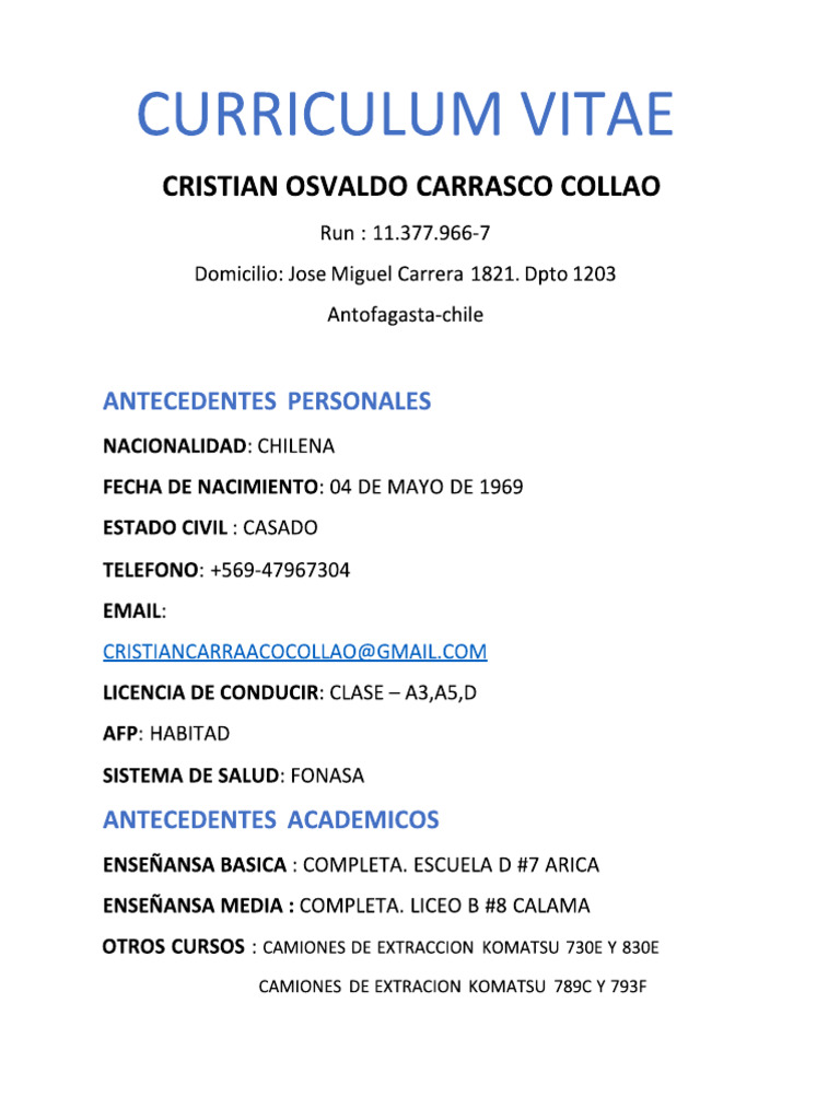 CV Cristian Carrasco | PDF