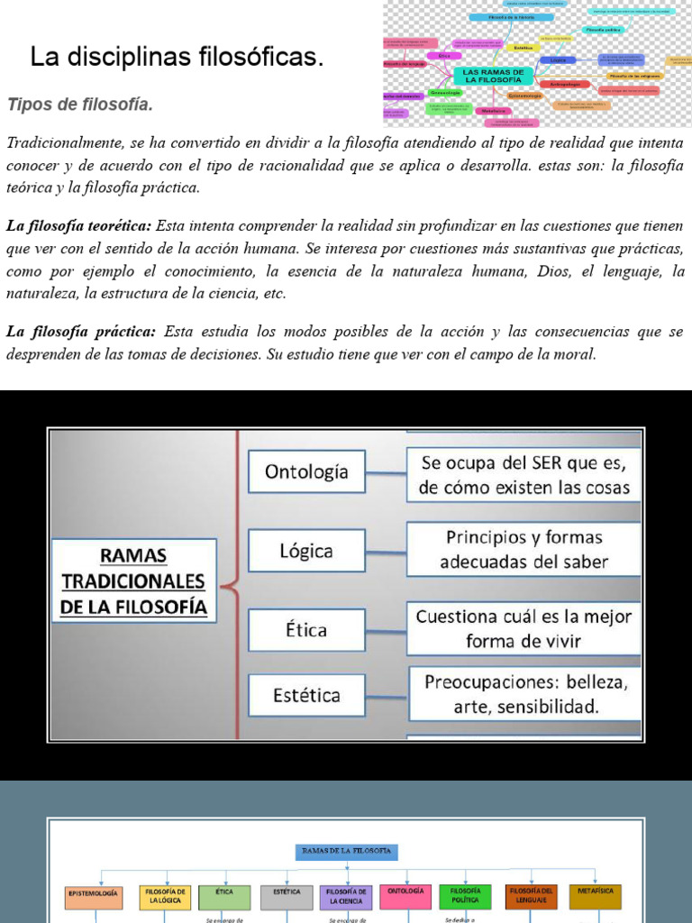 Unidad 3 Ramas de La Filosofia | PDF | Ciencias sociales | Filosofía