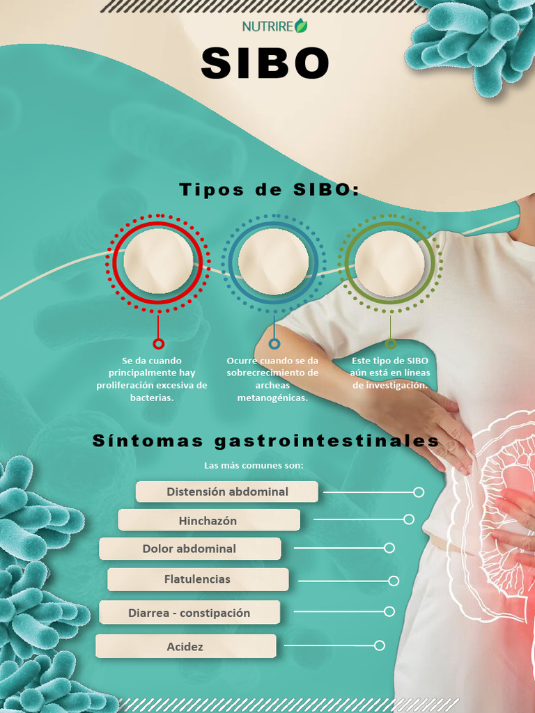 2 Sibo Lamina | PDF