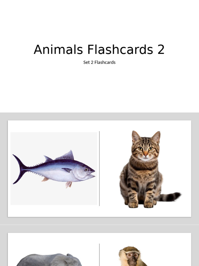 Animals Flashcards 2 | PDF
