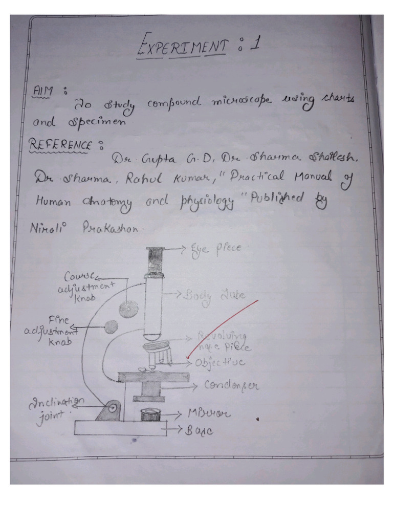 Human Anatomy Practical 1st To 4th Left Hand Side | PDF