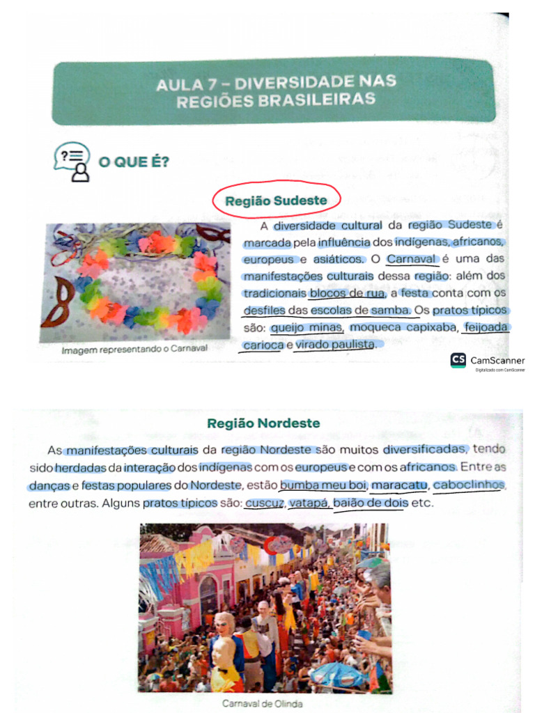 Aula 7 - Diversidade | PDF