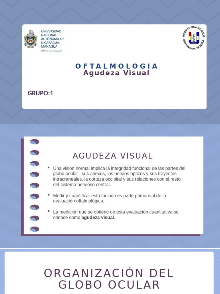 Agudeza Visual Oftalmo | PDF | Ojo humano | Percepción visual