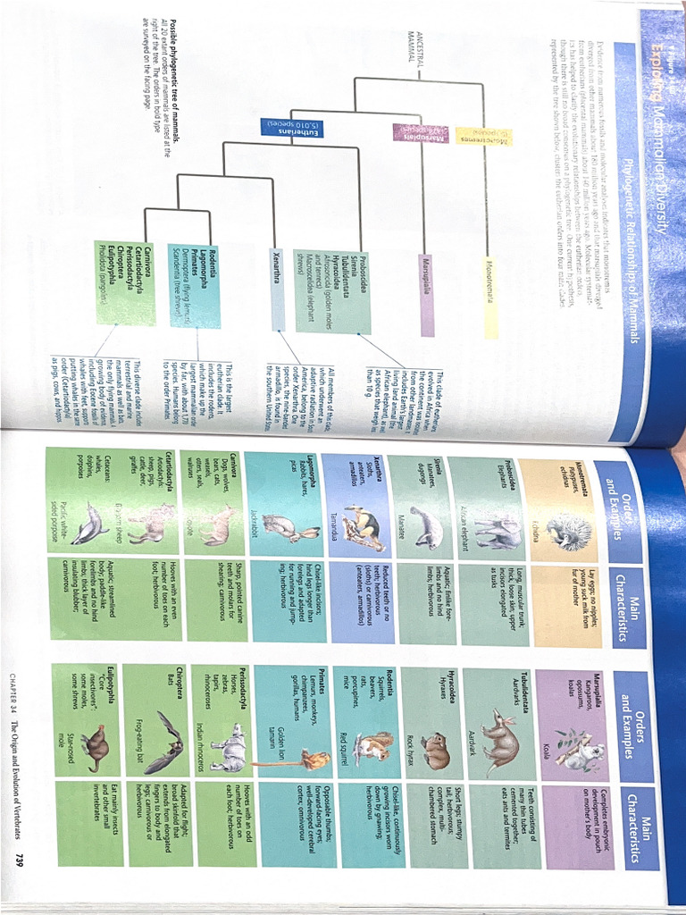 Ap Bio Textbook 3 | PDF