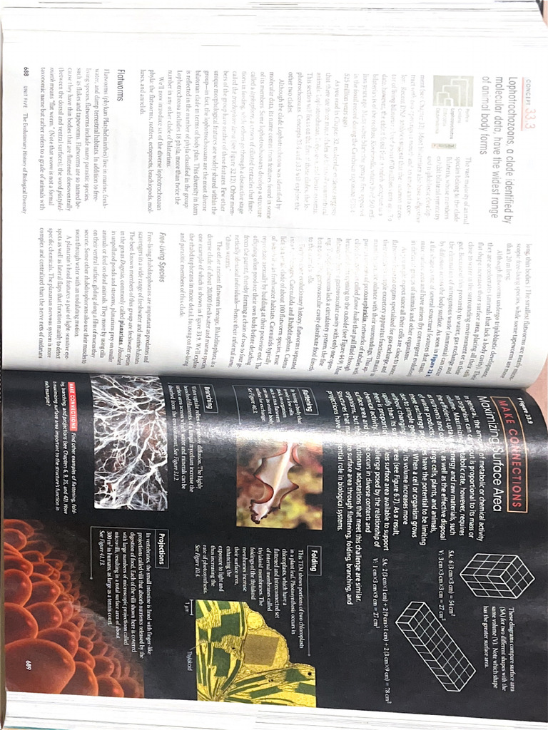 Ap Bio Textbook 2 | PDF