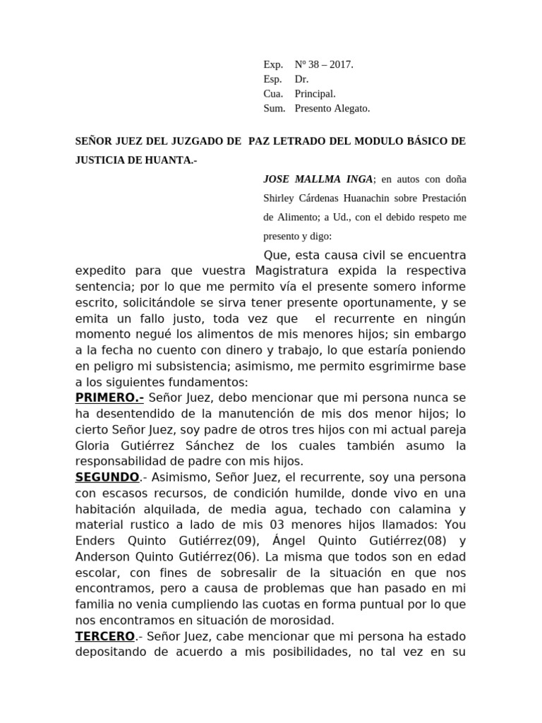 Alegato Alimentos Yuri Quinto Caceres | PDF