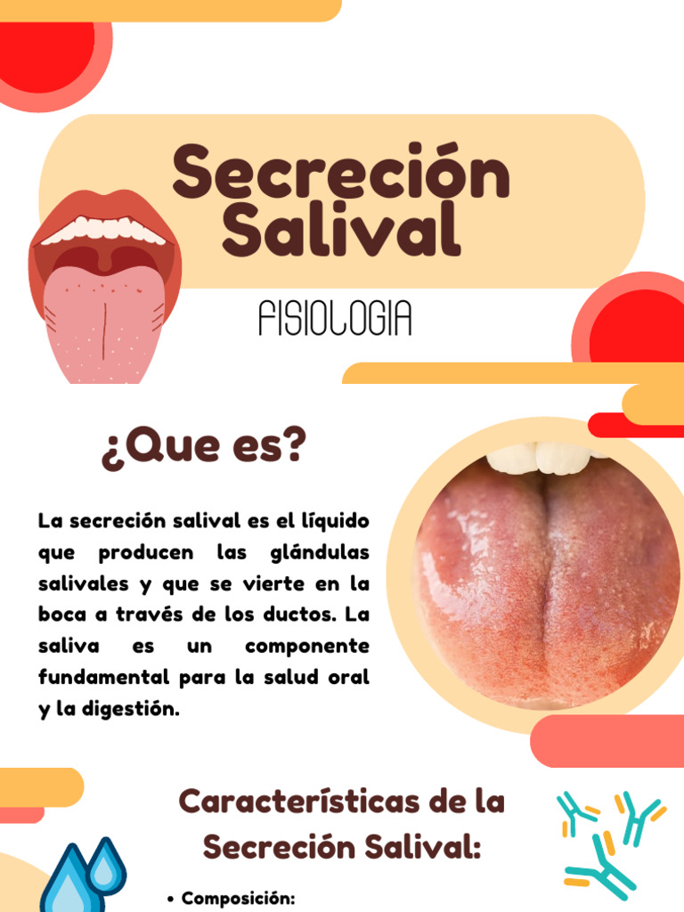 Secreción Salival | PDF