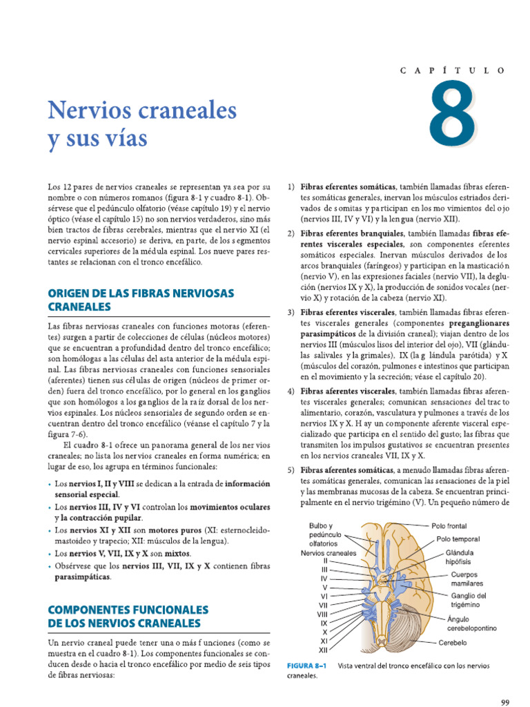 Pares Craneales Resumen | PDF