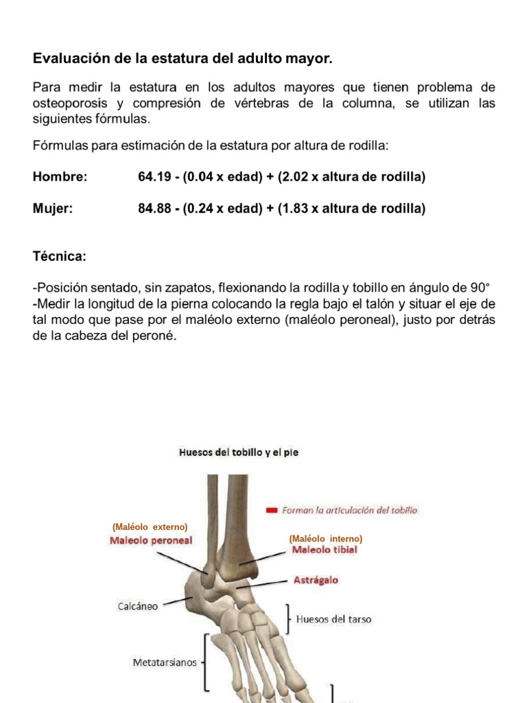 Fórmulas - Altura Rodilla | PDF
