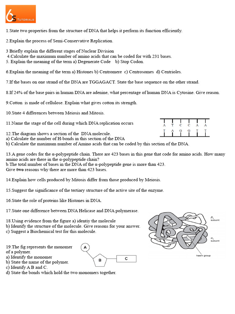 DNA Basics | PDF | Teaching Methods & Materials | Science & Mathematics