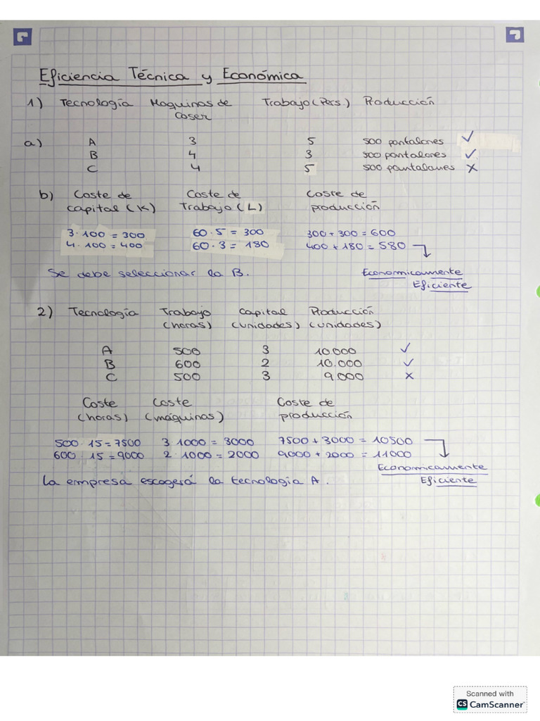 Delgado Kerry Ficha T3 | PDF
