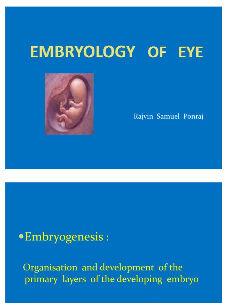 Embryology of Eye | PDF | Cornea | Epithelium