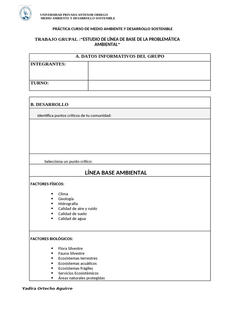 Formato Trabajo Grupal Línea Base | PDF