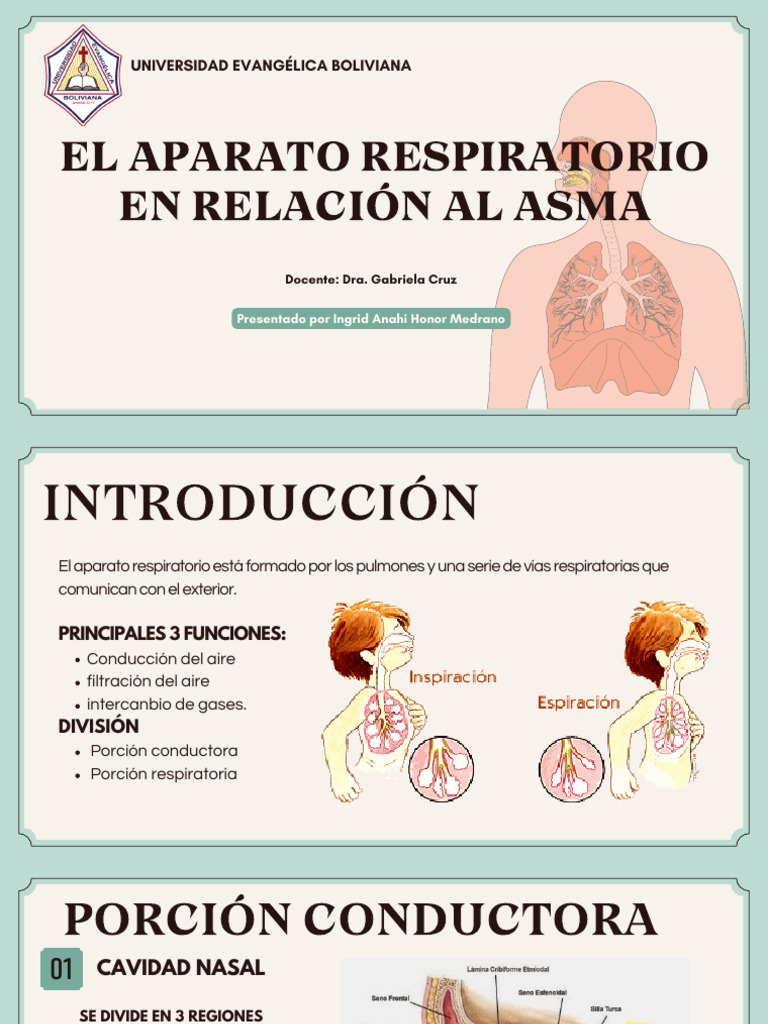 Aparato Respiratorio y Asma: Guía Completa | PDF | Asma | Alergia