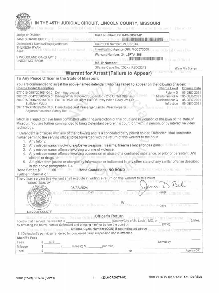 Theresa Suttles Ryan Warrant Felony 24-L6FTA-305 | PDF