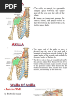 Anatomy and Contents of the Axilla | PDF | Arm | Anatomy