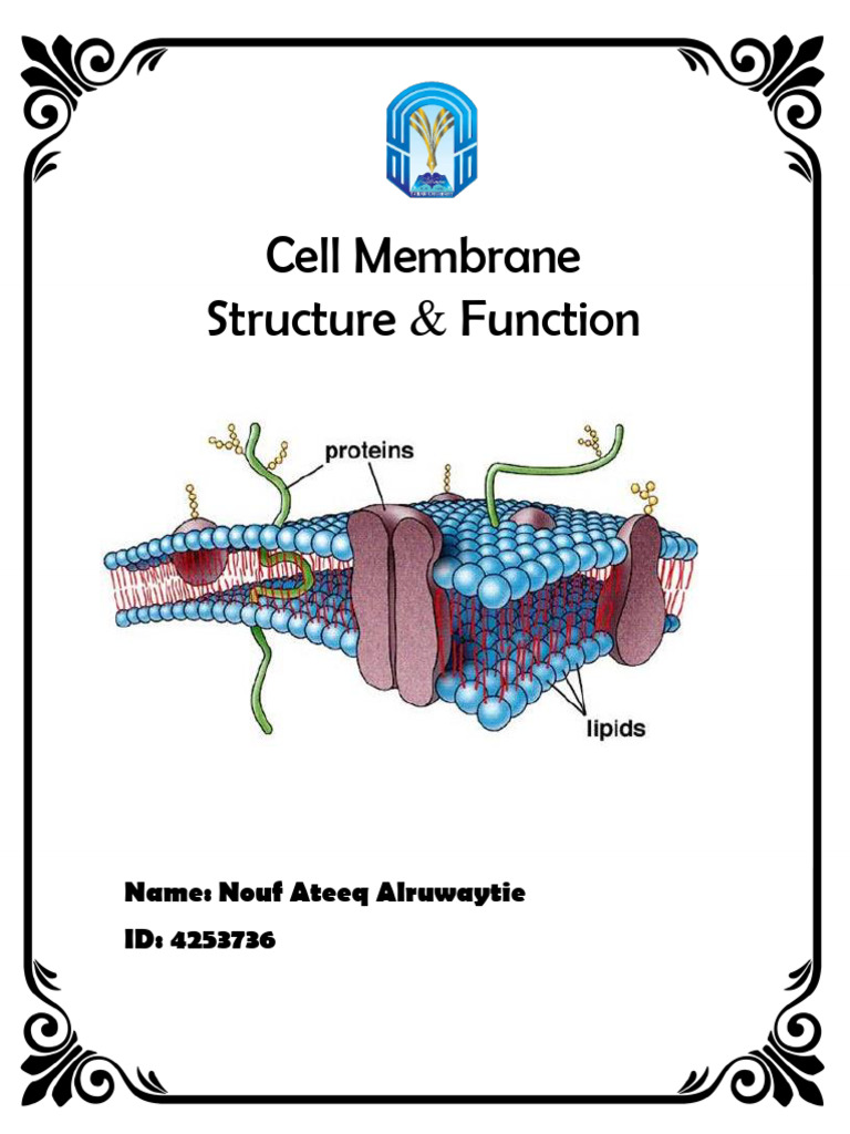 Cell Membrane Structure and Function | PDF | Cell Membrane | Cell Signaling